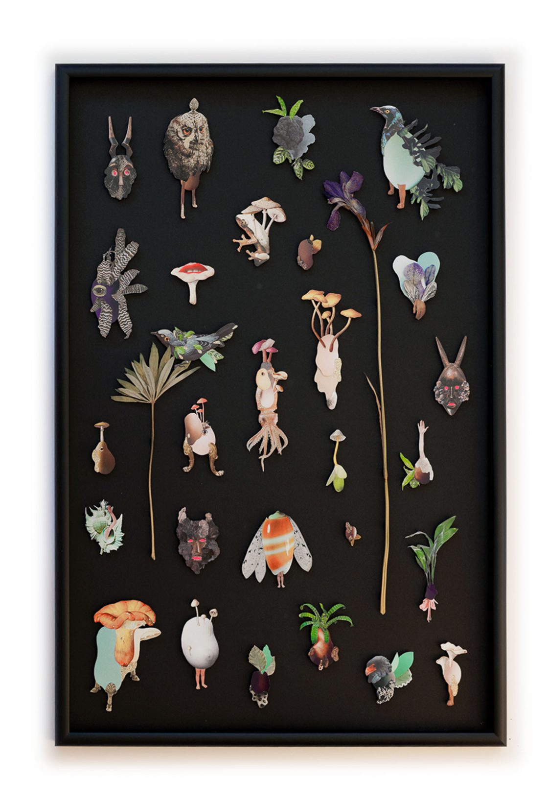 Weird Collage Show - Sylvia Stolan Illustration & Design